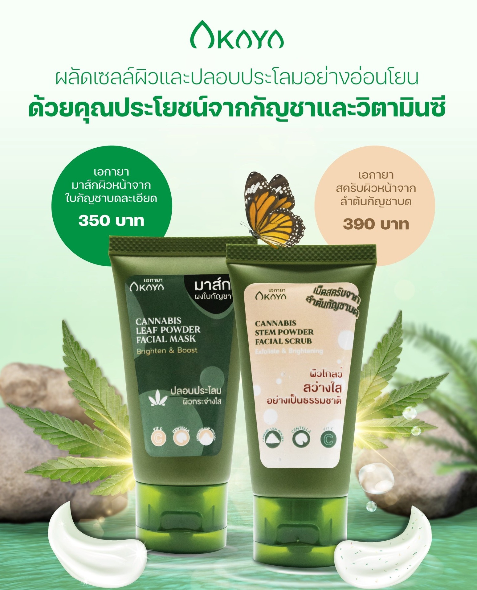 AKAYA Official Store, ร้านค้าออนไลน์ | Shopee Thailand