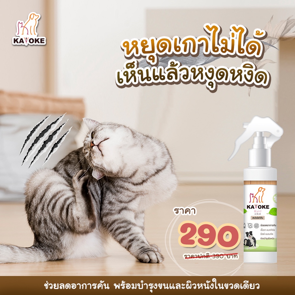 Kayoke ถูกที่สุด พร้อมโปรโมชั่น ธ.ค. 2022|BigGoเช็คราคาง่ายๆ