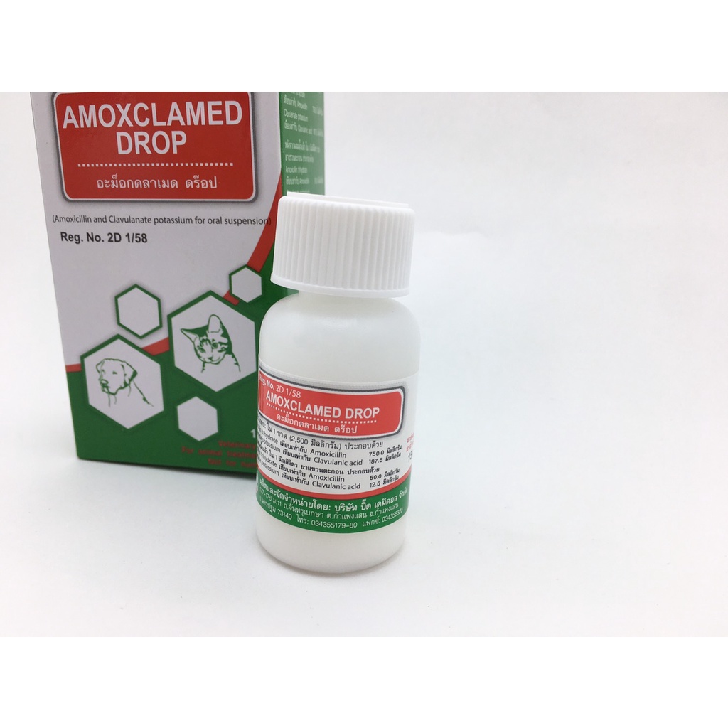 Amoxclamed Drop 15 ml รักษาการติดเชื้อแบคทีเรียในสุนัข และแมว ...