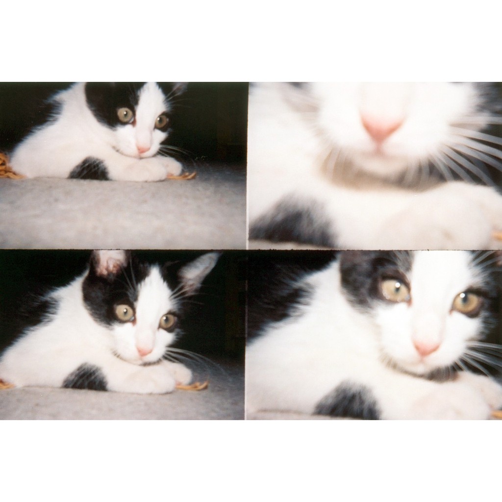 กล้องฟิล์ม lomo Action Sampler Clear Film Camera 35mm 135 lomography ...