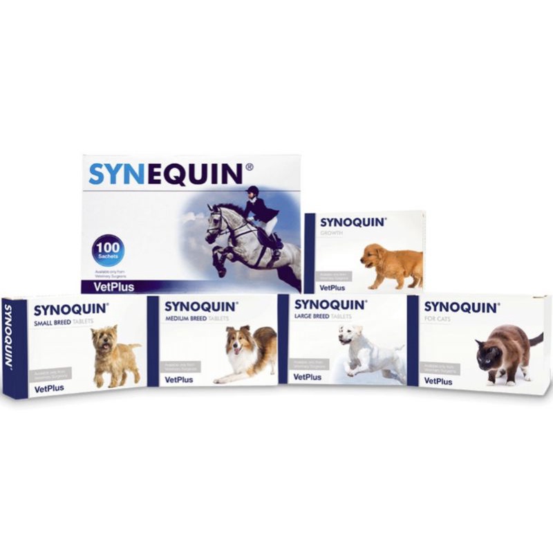 Synoquin Joint for Dogs บำรุงข้อ มีให้เลือกทั้ง Tablets และ Capsule ...