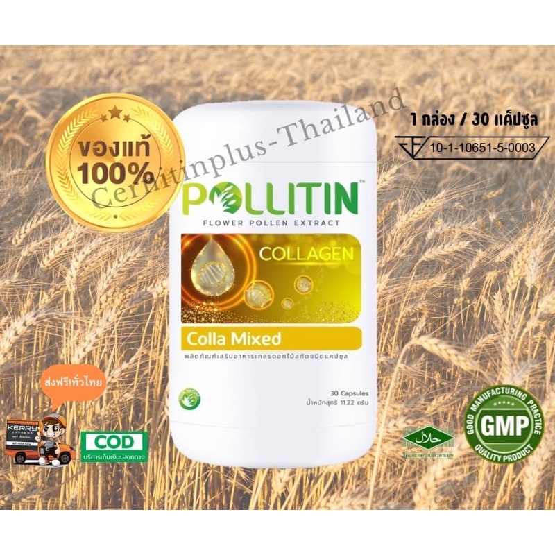 Colla Mixed (คอลล่ามิกซ์)POLLITIN-พอลลิติน เพิ่มความแข็งแรงให้หมอนรอง ...
