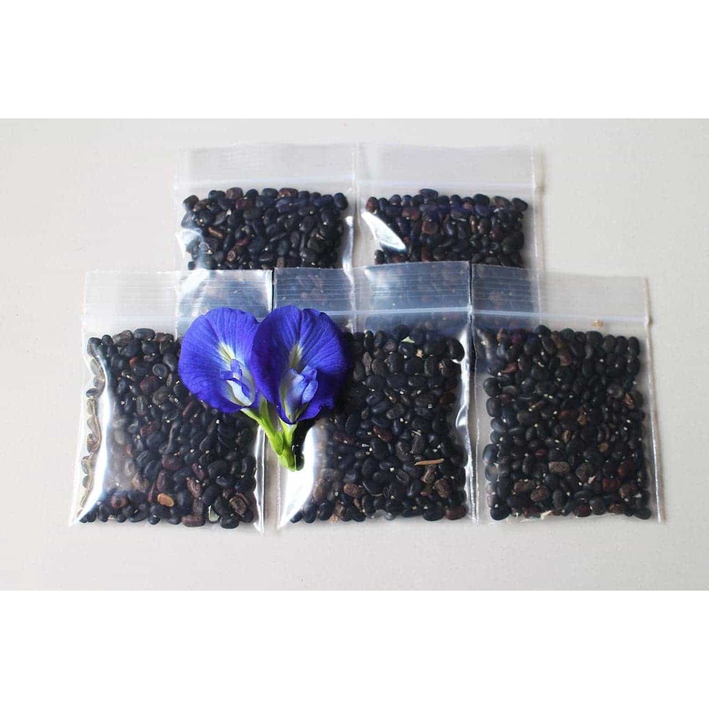 เมล็ดดอกอัญชัน 120 เมล็ด - tree_for_garden - ThaiPick