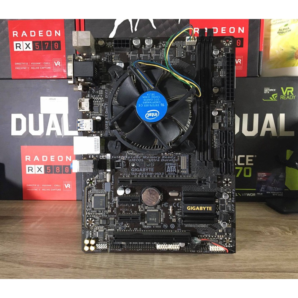 CPU: G4400+MB : gigabyte GA-B250M-HD3 - tktcomshop - ThaiPick