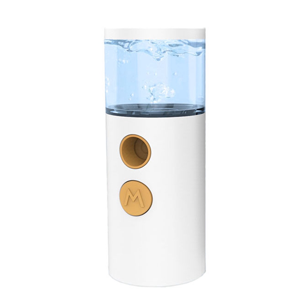 COD|ถูกที่สุด| USB Ultrasonic Nano Mist Sprayer Facial Air Hydrating ...