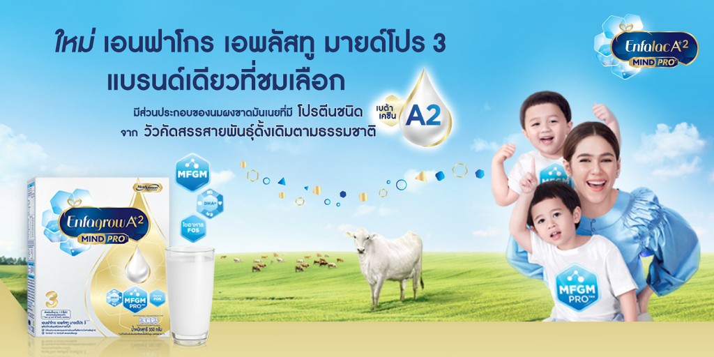 Enfa Official Shop, ร้านค้าออนไลน์ | Shopee Thailand