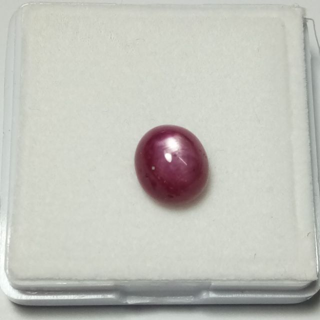 พลอยทิบทิม Ruby Star Cab.59 - onesatang - ThaiPick