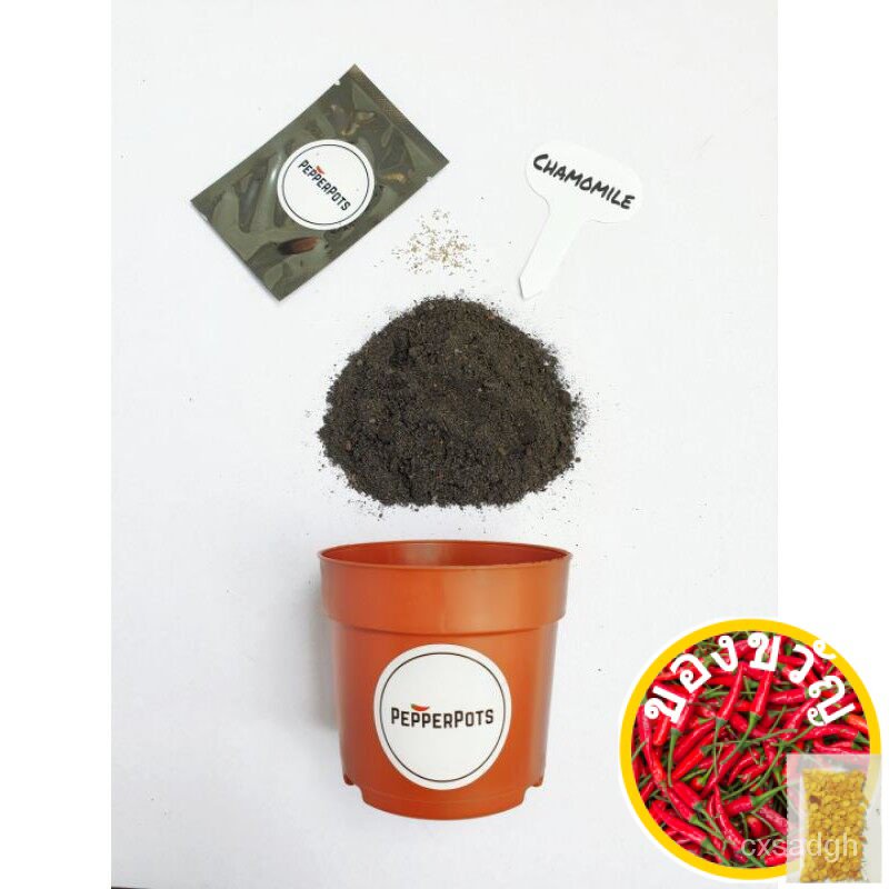 Seeds ชุดเริ่มต้นเมล็ดเยอรมัน ( 600เมล็ด) ชุด launcher เมล็ด seeds ...