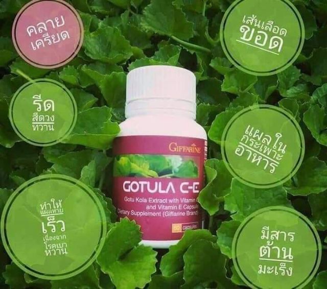 กิฟฟารีน โกตูล่า ซีอี ใบบัวบกสกัด แก้ริดสีดวง เส้นเลือดขอด ลดเบาหวาน ...