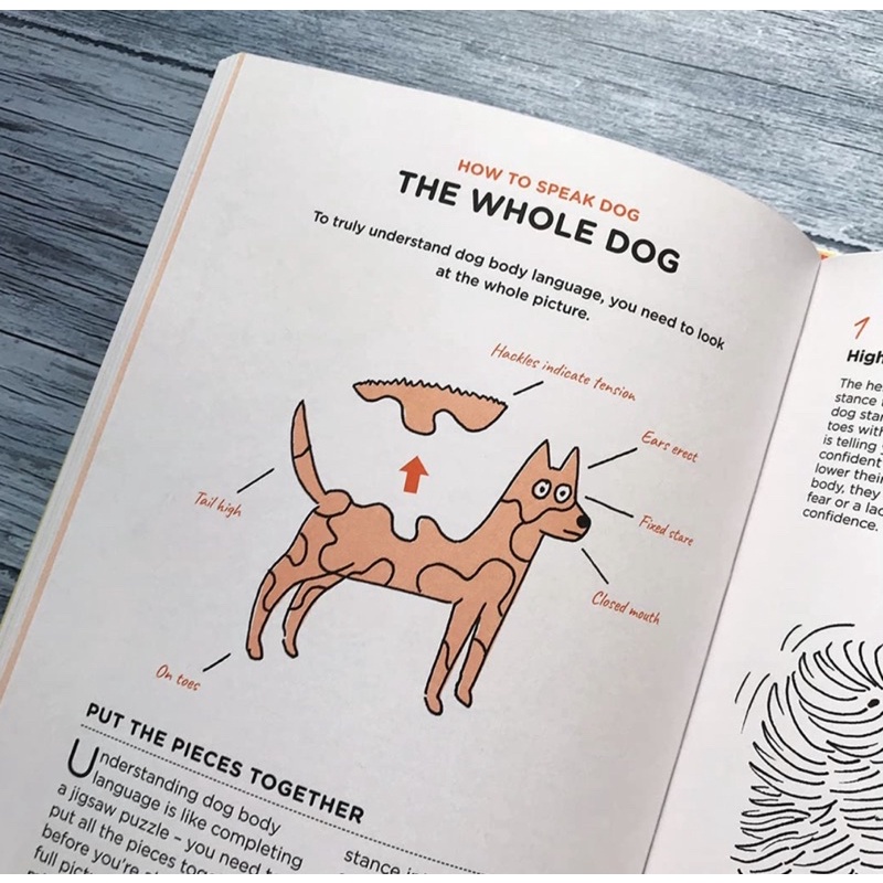 (พร้อมส่ง) หนังสือภาษาอังกฤษ What Dogs Want An illustrated guide for ...