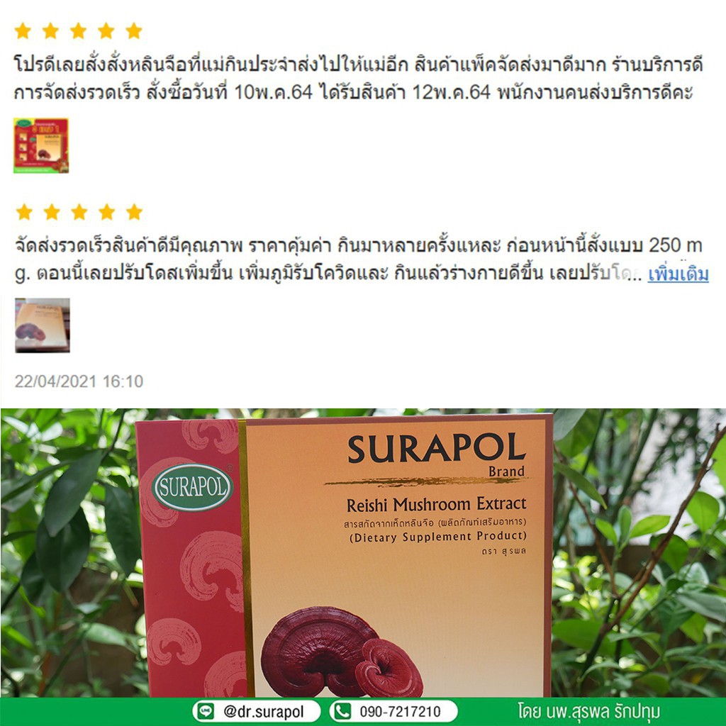 Dr.Surapol Reishi Mushroom Extract 500 mg. ผลิตภัณฑ์เสริมอาหาร สารสกัดจากเห็ดหลินจือ 500 มก. ตรา ...