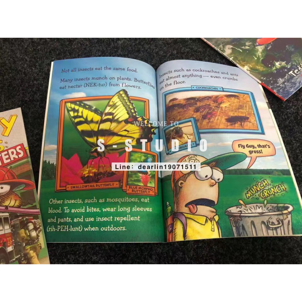 หนังสือภาษาอังกฤษ Fly Guy Presents Collection 11 Book Setภาษาอังกฤษ ...