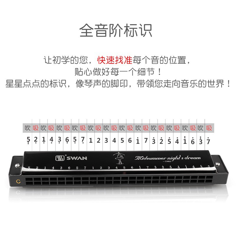 Swan Harmonica 24 Hole Polyphonic C Beginner Student Adult Stress ...