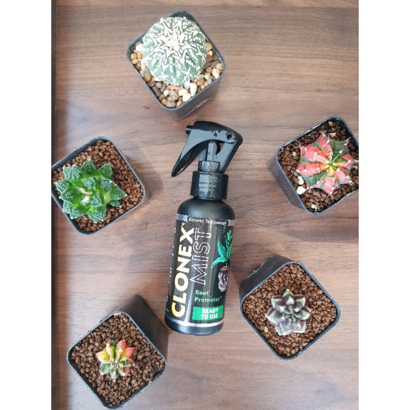 CLONEX Mist สเปรย์เร่งราก 100 ml. ของแท้ 100 - greenrock.farm - ThaiPick