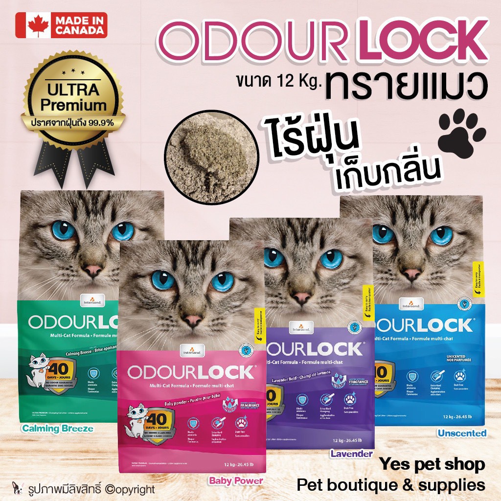 OdourLock 12 Kg. จัดด่วน ทรายแมว cat litter เกรดอัลตราพรีเมียม 12 กก. ...