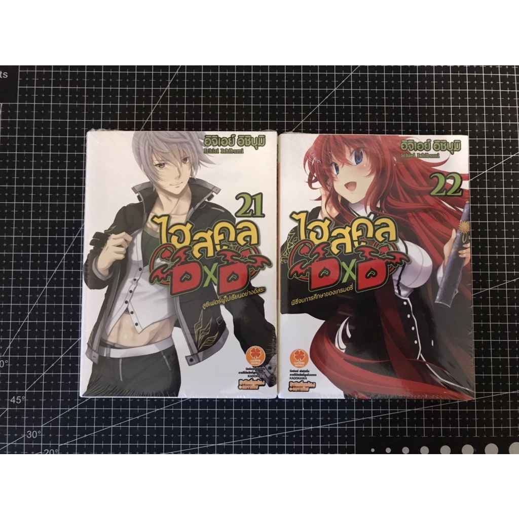 LN High School DXD 11-13 21-22 (นิยาย) (มือ1) - hadeskids - ThaiPick