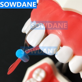 Dental Twin Anterior Matrices Dental Orthodontic Sectional Contoured ...