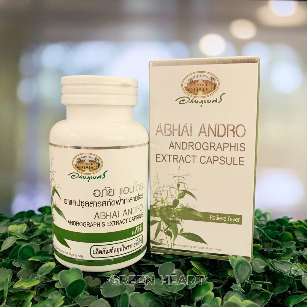 ยาฟ้าทะลายโจร อภัยภูเบศร 60 แคปซูลABHAI ANDRO อภัยภูเบศร อภัย แอนโดร ยาแคปซูล สารสกัดฟ้าทะลายโจร ...