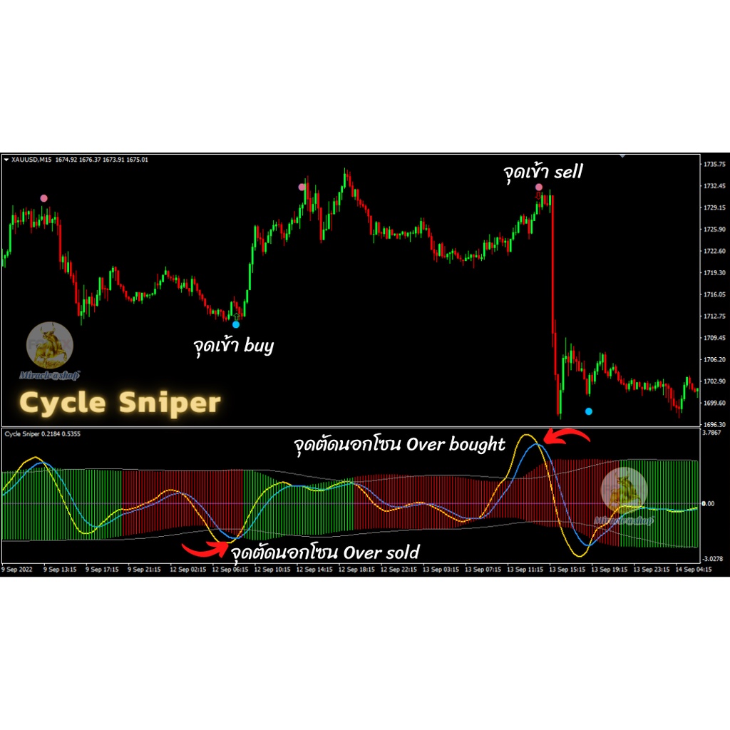 โปรแกรมช่วยเทรด FOREX INDICATOR Cycle Sniper MT4 - teklacha - ThaiPick