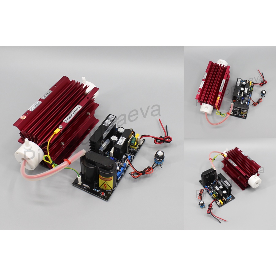 Pinus longaeva 10GH 10grams Quartz tube ozone generator Kit ...