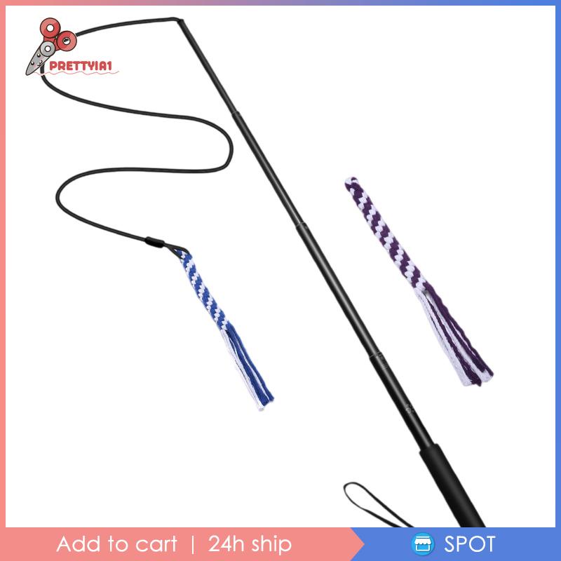Retractable Dog Interactive Stick Extendable Flirt Pole Funny Chasing ...