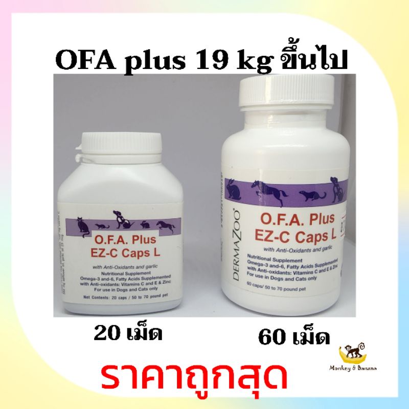 OFA Plus EZ-C Caps L (สุนัข 19 กก. ขึ้นไป) บำรุงขนและผิวหนัง - monkey ...