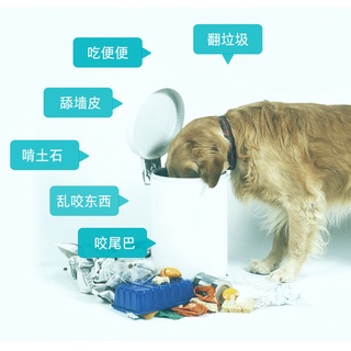 Pet dog pica trace element tablets อาหารเสริมเพื่อกินหญ้าดินเสริม ...