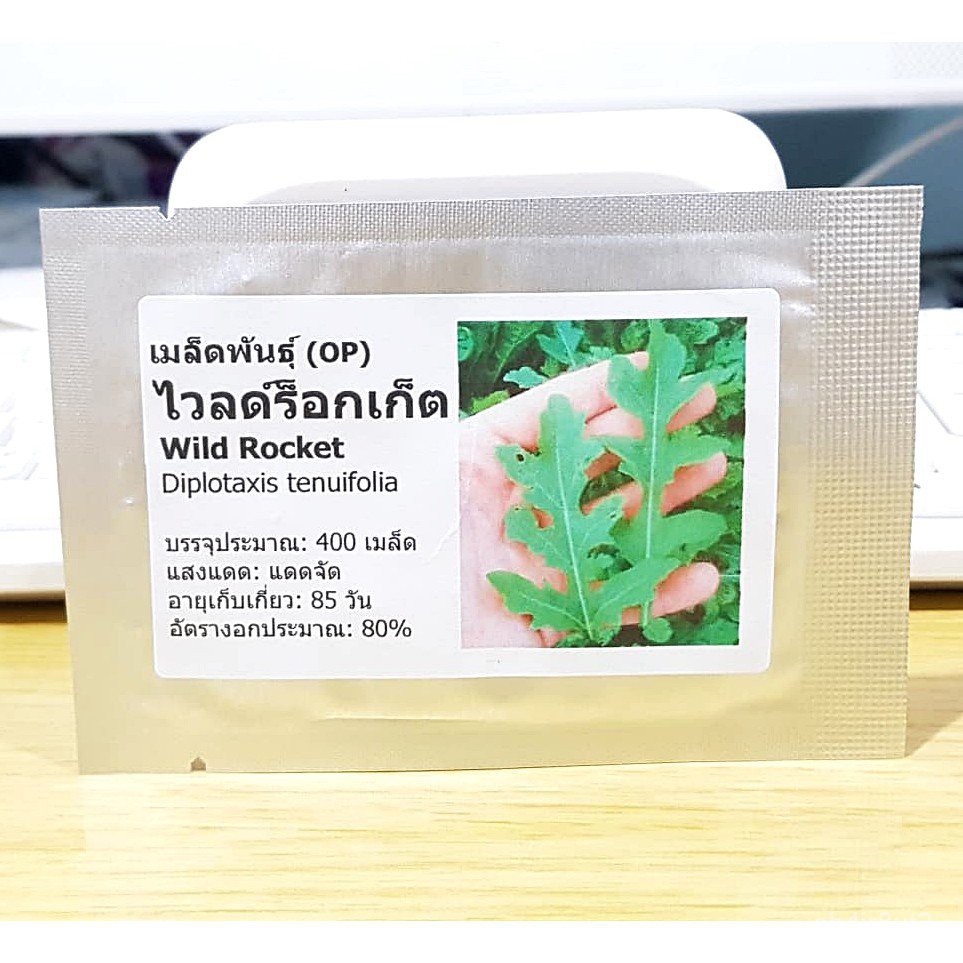 เมล็ดพันธุ์ ผู้ผลิตเมล็ดพันธุ์ ไวลด์ร็อกเก็ต (Wild Rocket Seed) บรรจุ ...