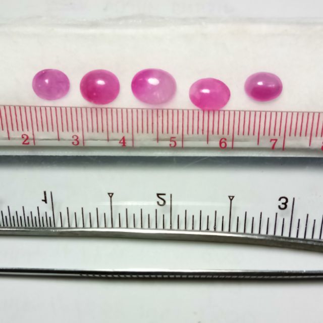 ทับทิม(หลังเบี่ย)Ruby Cab Oval/18 - onesatang - ThaiPick