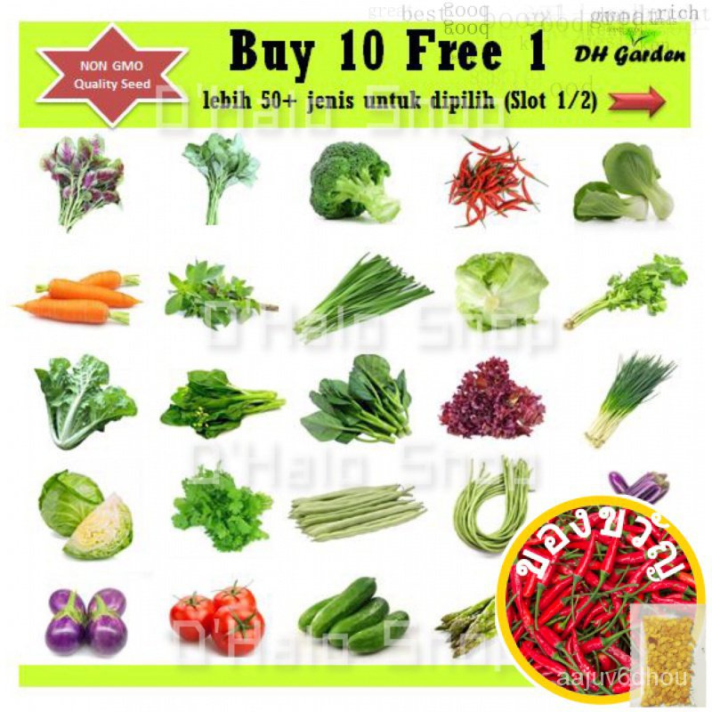 【Ready Stock】 50＋ Jenis Vegetables Seed Biji Benih Sayur-sayuran เมล็ด ...
