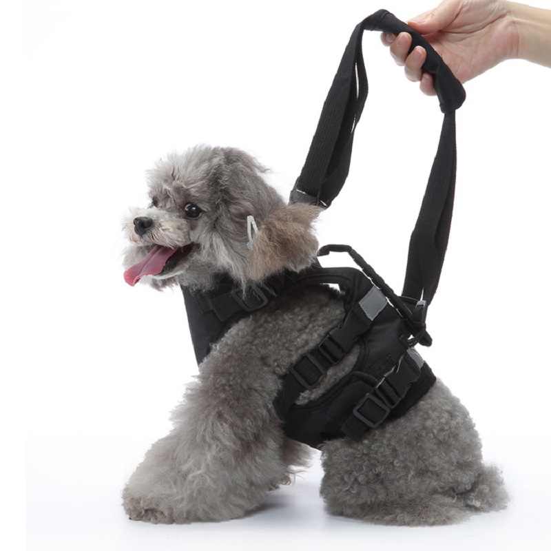 Pet Multifunctional Chest Strap Breathable Assist Sling Hand Carry ...
