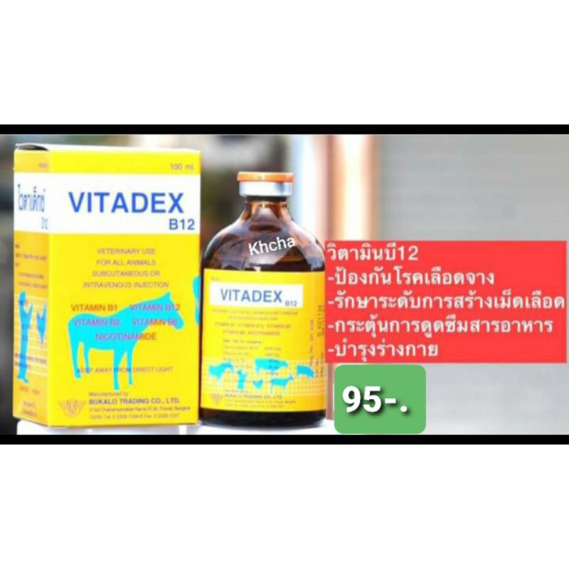 ไวตาเด็กซ์ บี12 VITADEX B12 100ml. - big_banksg - ThaiPick