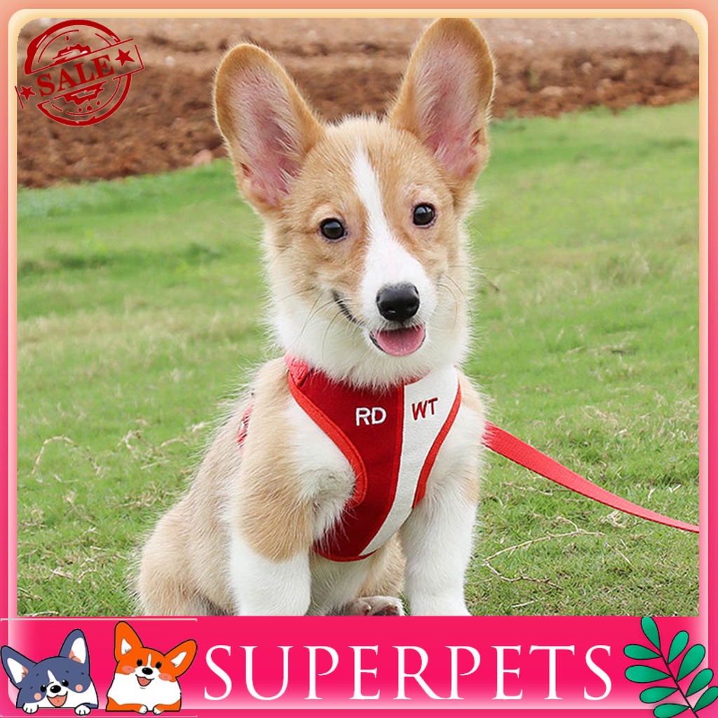 Pet Chest Straps Color Block Escape Proof Outdoor Harness Traction Rope ...