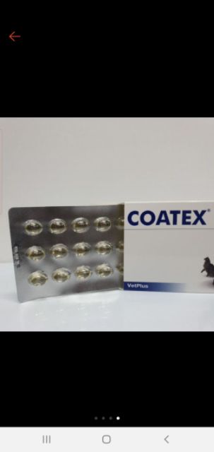 Coatex 60 capsules หมดอายุ 122023 อาหารเสริมบำรุงผิวหนังและขนสุนัขและ ...