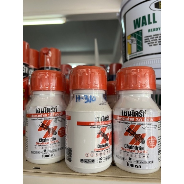 น้ำยากำจัดปลวก CHAINDRITE 30SC 250 ซีซี - b.naphatt - ThaiPick