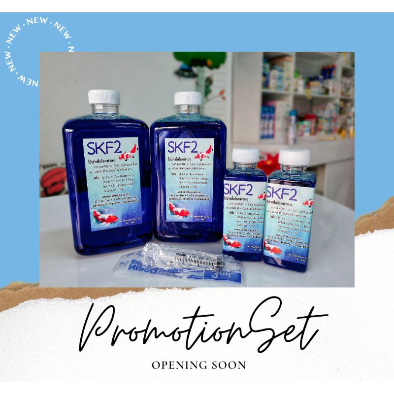 SKF2 Promotion Set - skf2official - ThaiPick