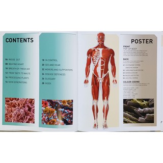 Pop Up Human body book DK | Shopee Thailand