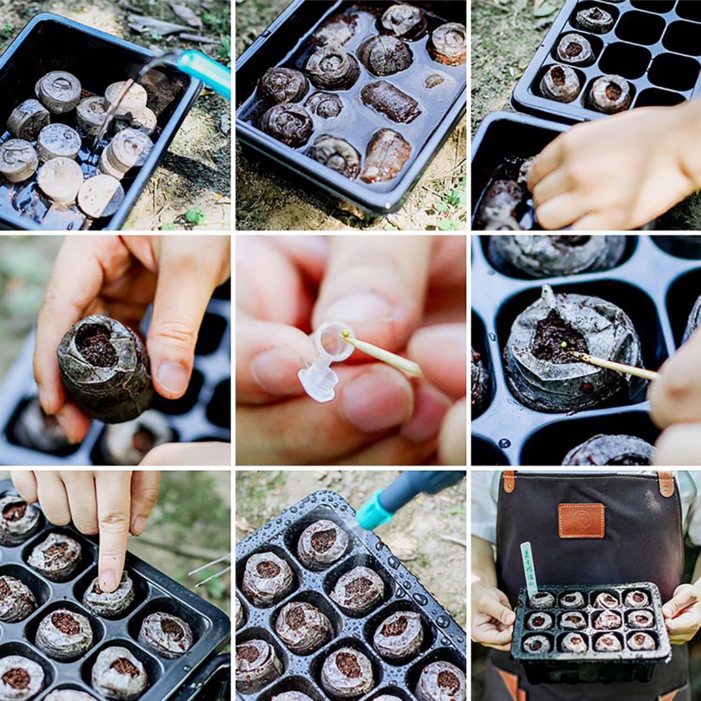 Peat pellet, seed starting plug, soil pellets - EXPANDS QUICKLY - ECO ...