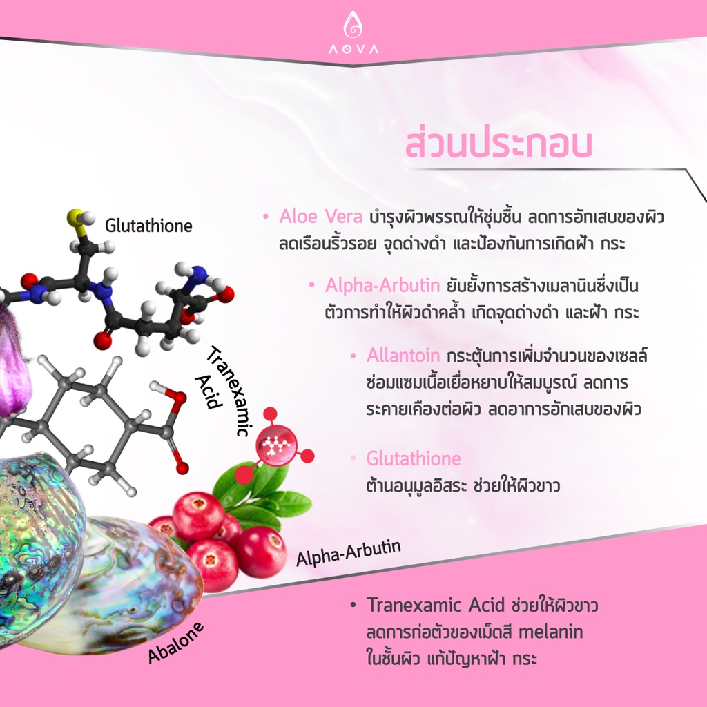 AOVA Eternity Abalone Cream ครีมหอยเป๋าฮื้อ ขนาด 30 มล - aova_official ...