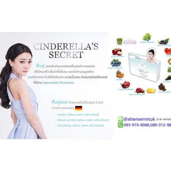 Cinderella ถูกที่สุด พร้อมโปรโมชั่น เม.ย. 2024|BigGoเช็คราคาง่ายๆ