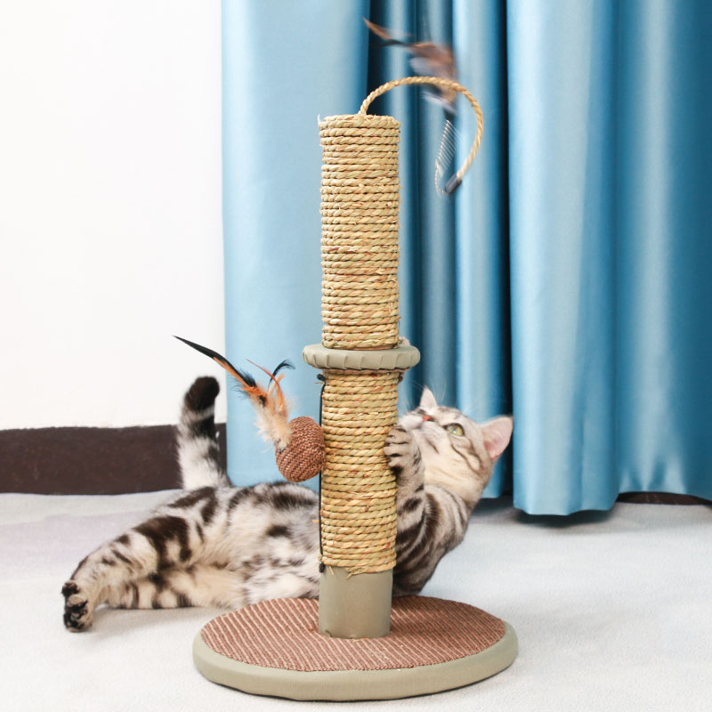 แมว Scratcher Scratching Pole Cat Scratching Board Cat Nest Cat ...
