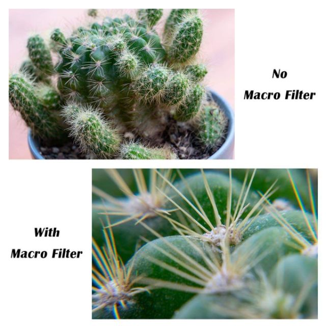 ฟิลเตอร์มาโคร (Macro filter) สร้างภาพมาโครด้วยฟิลเตอร์ 1 อัน - whappen ...