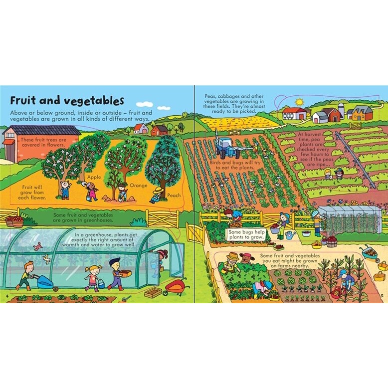 LOOK INSIDE FOOD BY DKTODAY - lin.a5 - ThaiPick