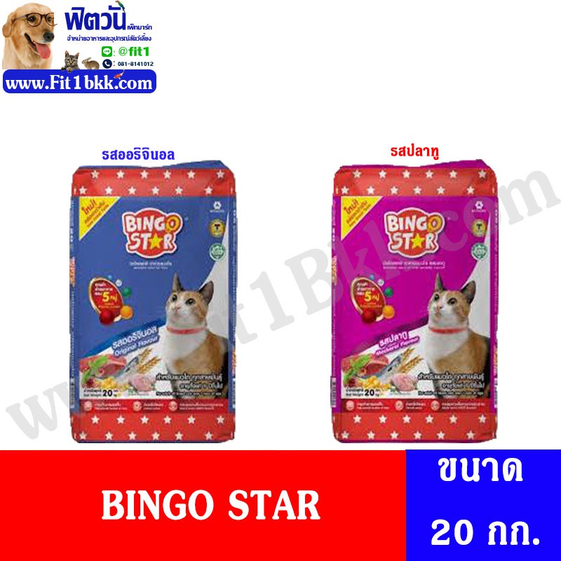 อาหารแมว BINGO STAR แมวทุกสูตร ขนาด 20 กิโลกรัม | Shopee Thailand