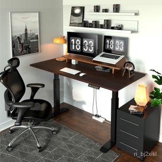 Hollin 55 X1 TIMOTION SINGLE motor standing office table electric lift ...