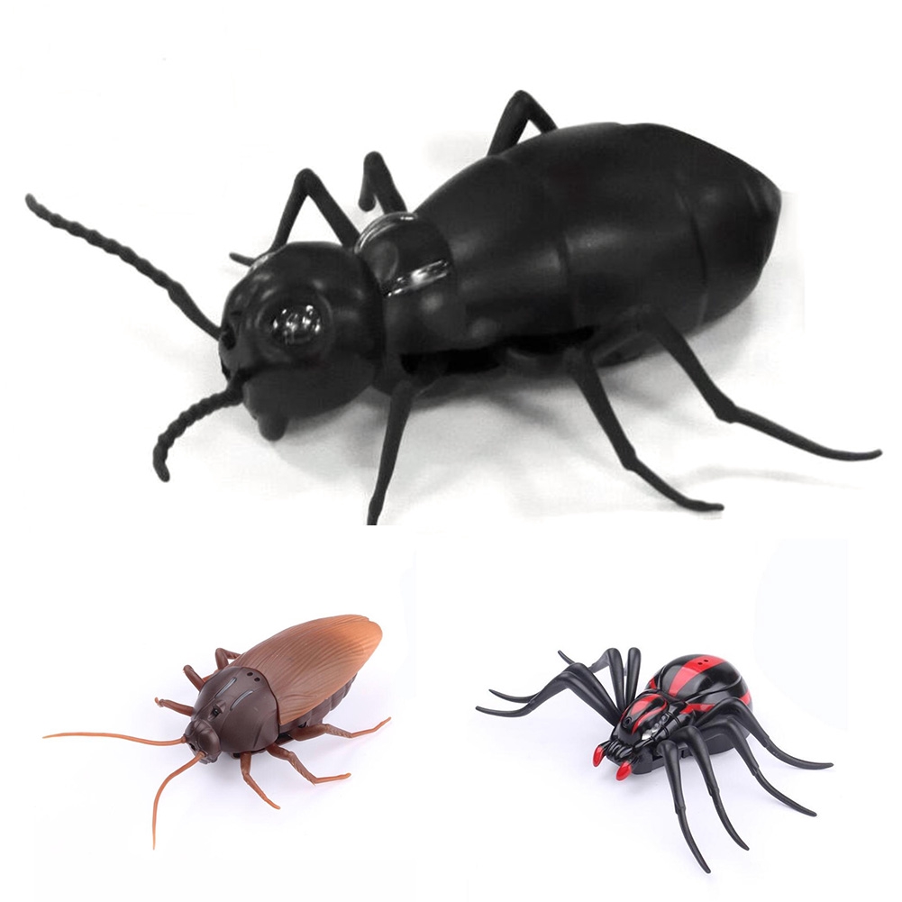 Remote Control Electric Cockroach Insect Bug Car Vehicle Roach Animal ...