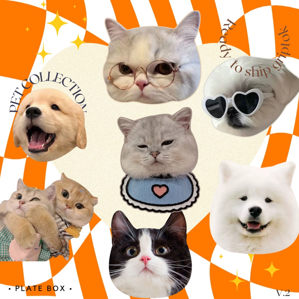 พร้อมส่งจากไทย กริปต๊อก Griptok cat collection น้องๆ แมว น่ารักมากๆ ...