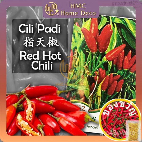 Grabbit vegetable Seeds Malabar Spinach Biji Benih Sayur 落葵เมล็ดดอกไม้ ...