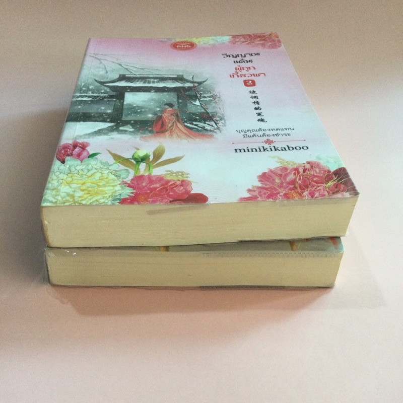 วิญญาณแค้นผู้ถูกเกี้ยวพา (1-2เล่มจบ) ผู้เขียน minikikaboo นิยายมือสอง ราคาถูก สภาพดี - dawrada ...