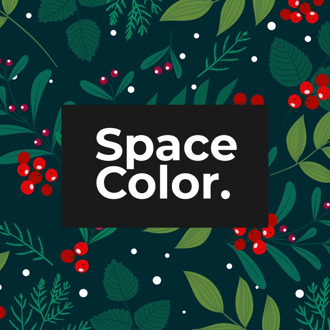 Space_Color, ร้านค้าออนไลน์ | Shopee Thailand